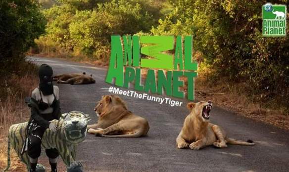 Kumpulan meme macan lucu,bikin ngakak sampai perut mules. | Rudy SouL Blog